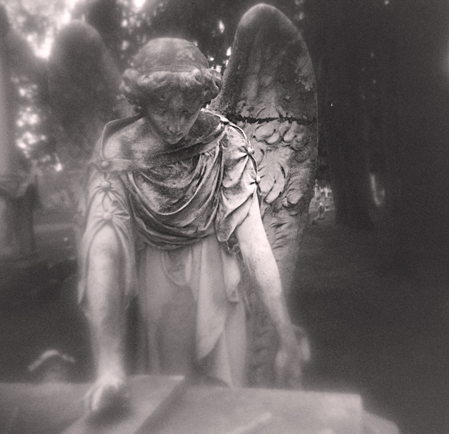 Among the Dead - Becoming an Author